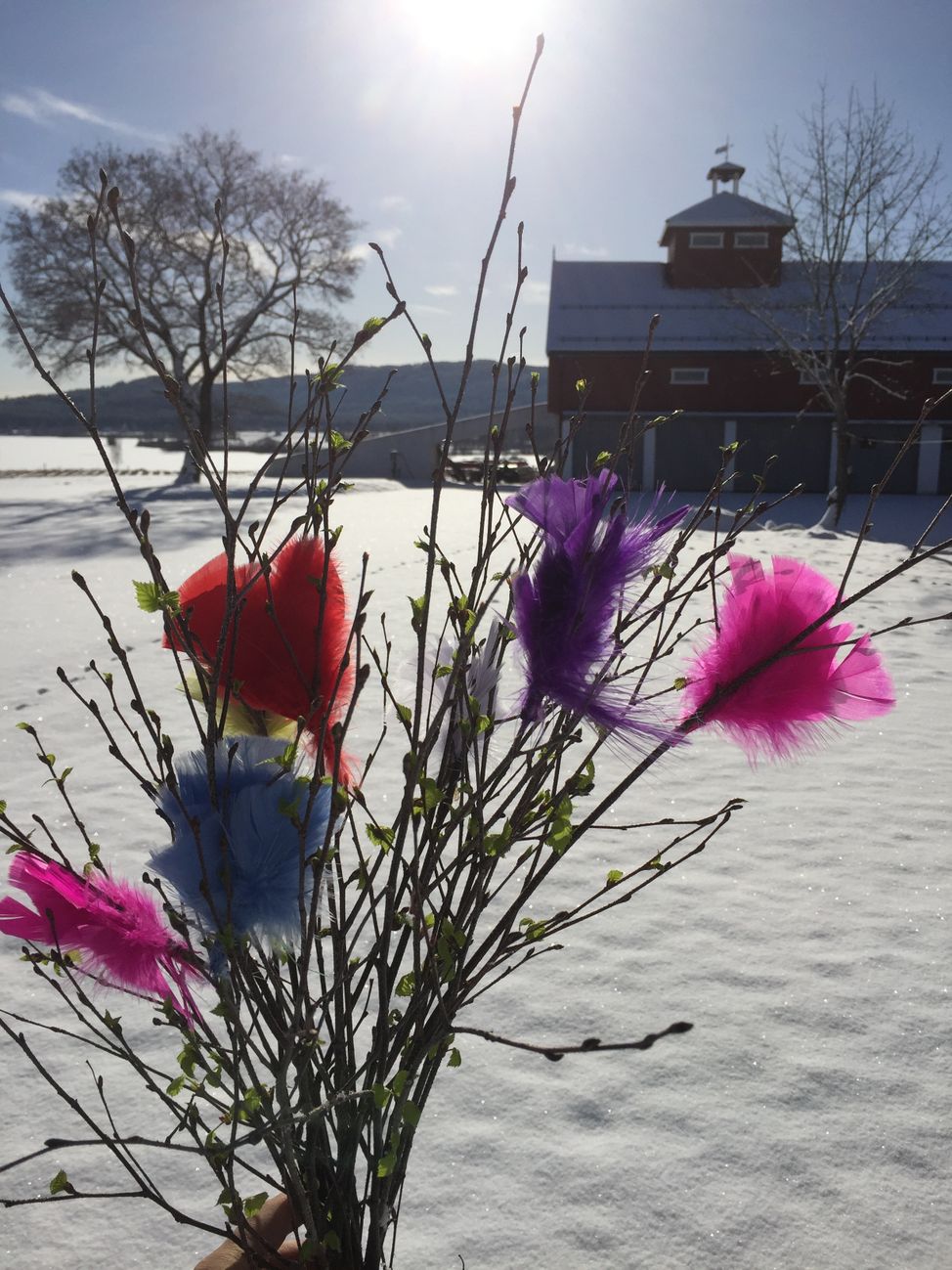 Fastelaven Baking with Liv - Gardsfruene