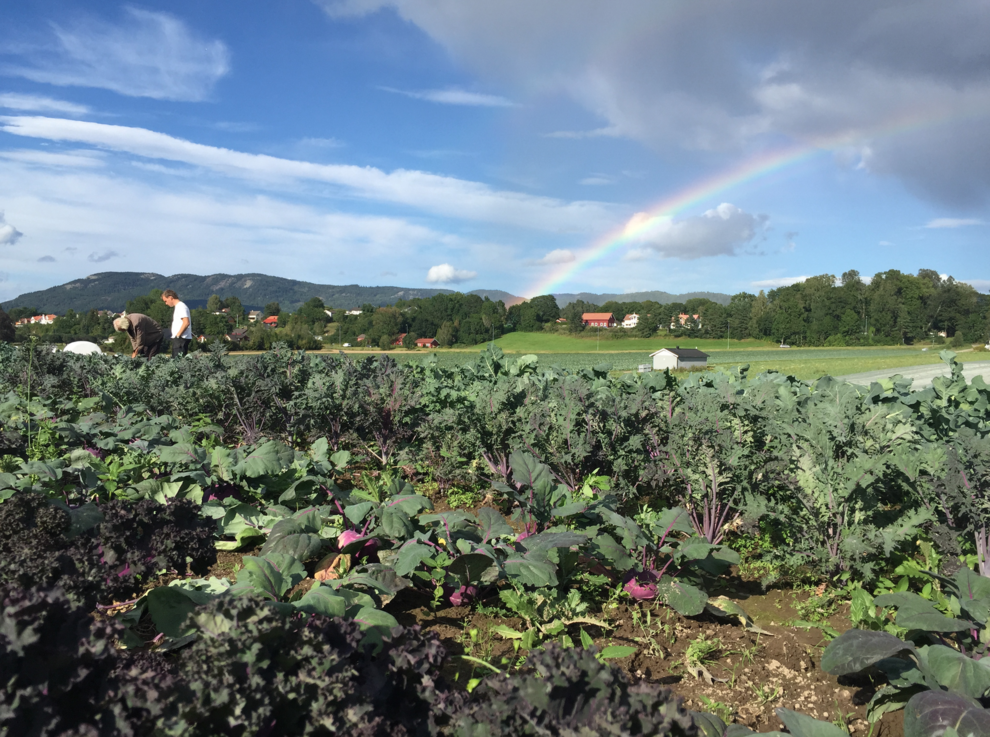 Shared Farms - Gardsfruene