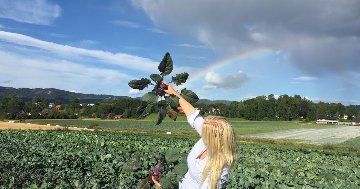 Shared Farms - Gardsfruene