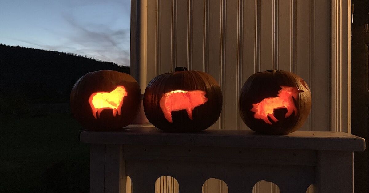 Hooho Halloween | Gardsfruene